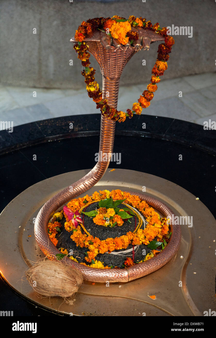 India, Dehradun. Sheshnag, the Divine Five-headed Serpent in Hindu ...