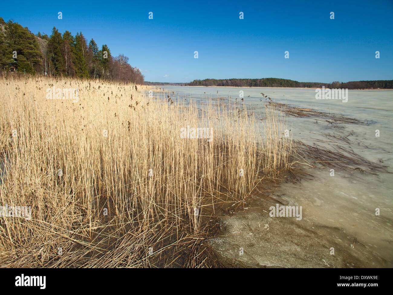 Southern finland province hi-res stock photography and images - Alamy