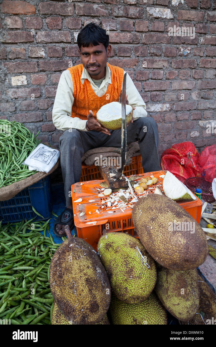 Indian jackfruit hi-res stock photography and images - Alamy