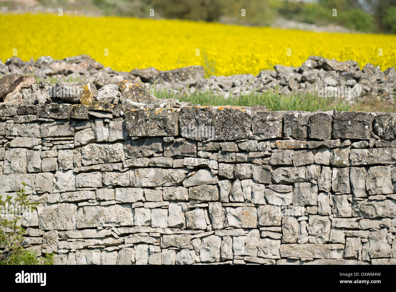 Traditional-type of wall building using stone without any concrete ...
