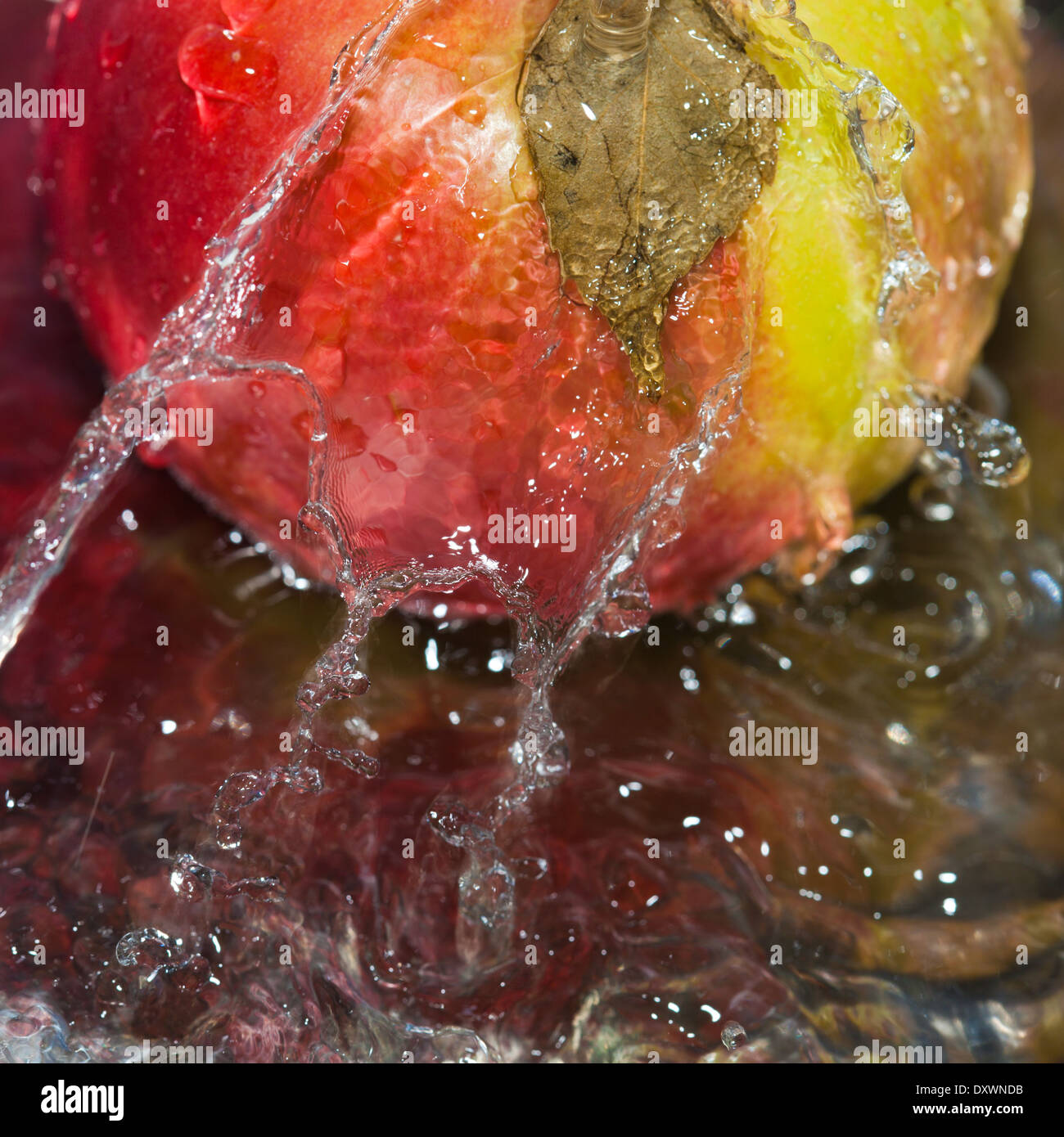washing apple - red apple being washed under a jet of water, frozen ...