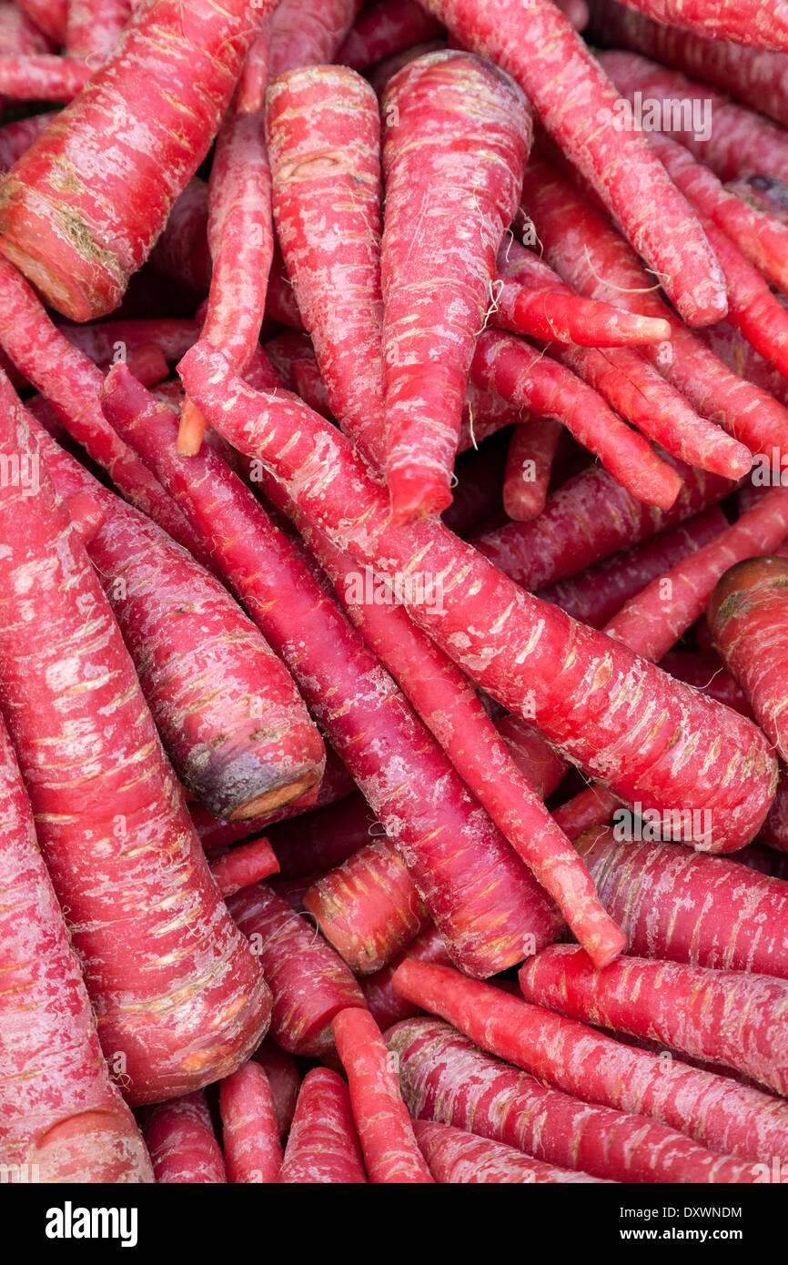 Indian red carrots indian market hi-res stock photography and images ...