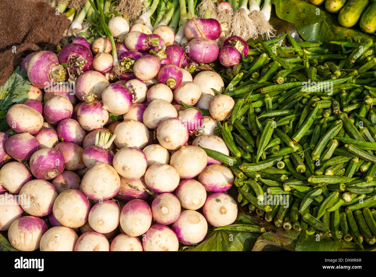 India, Dehradun. Turnips, Okra, and Onions in the Market Stock Photo ...