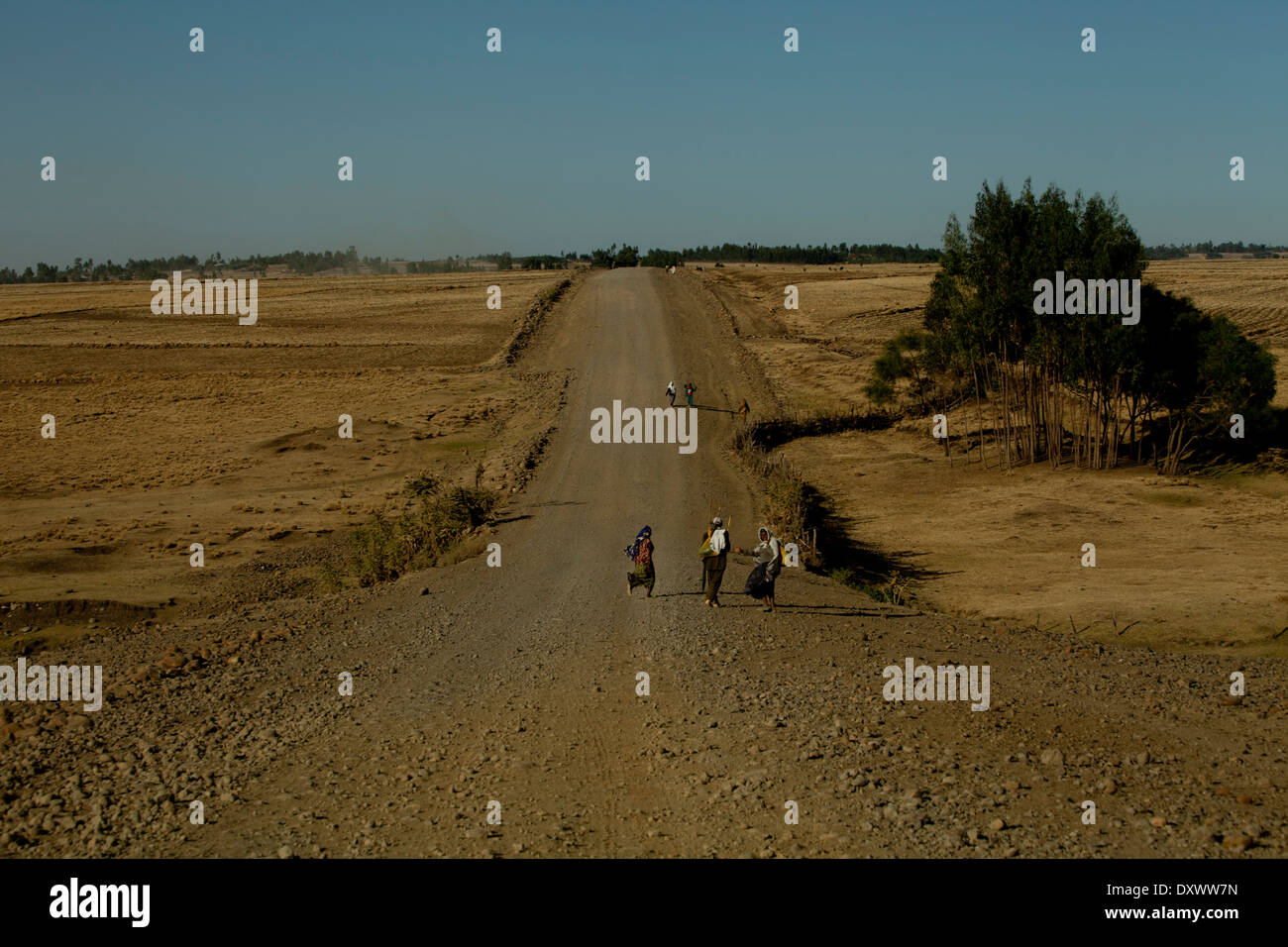 Ethiopian people hi-res stock photography and images - Alamy