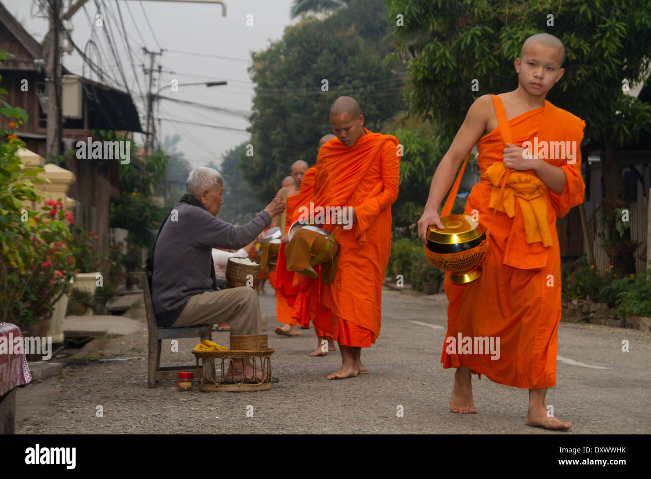 Buddhist Monks Morning Ritual, alms giving/ collection Stock Photo - Alamy