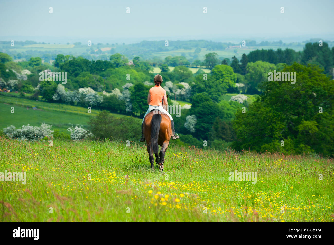 Riding horse countryside england hi-res stock photography and images ...