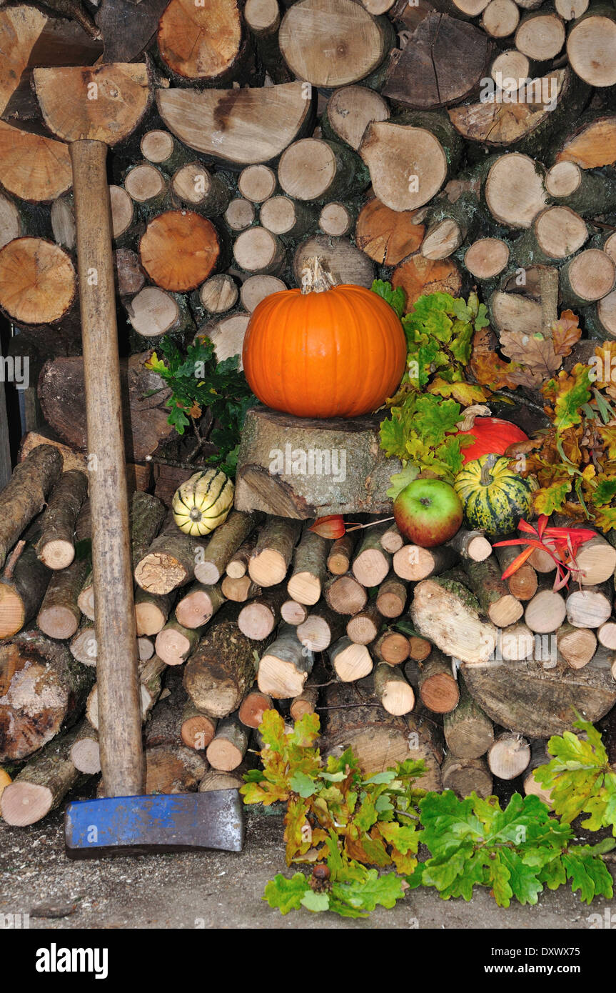 Preparing for winter - a pile of logs and autumn fruits UK Stock Photo ...
