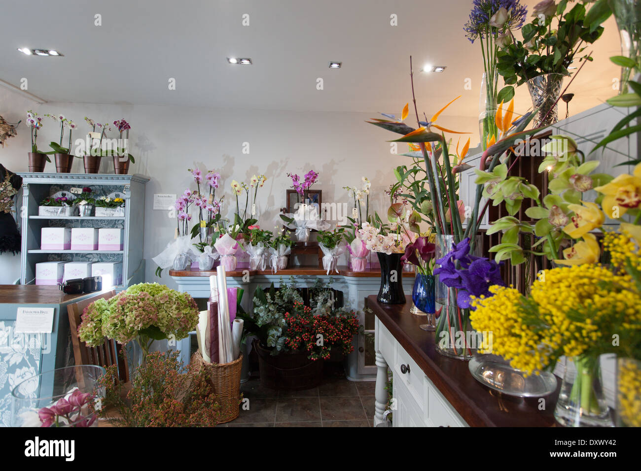 Florist shop interior hi-res stock photography and images - Alamy
