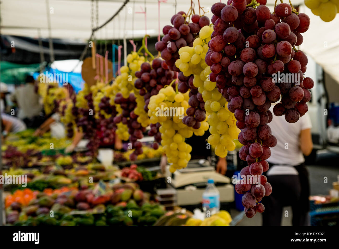 Bunches of red and green grapes hanging from a Spanish market stall ...