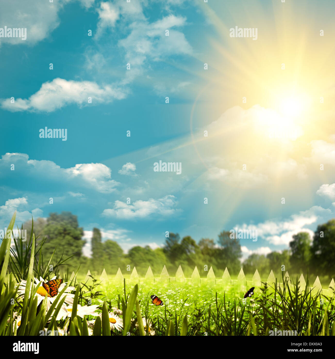 Beauty summer day on the farm, natural backgrounds Stock Photo - Alamy