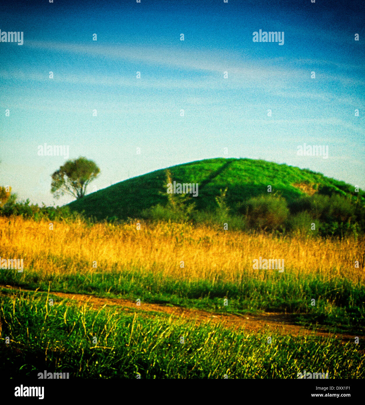 Etruscan tumulus tomb High Resolution Stock Photography and Images - Alamy