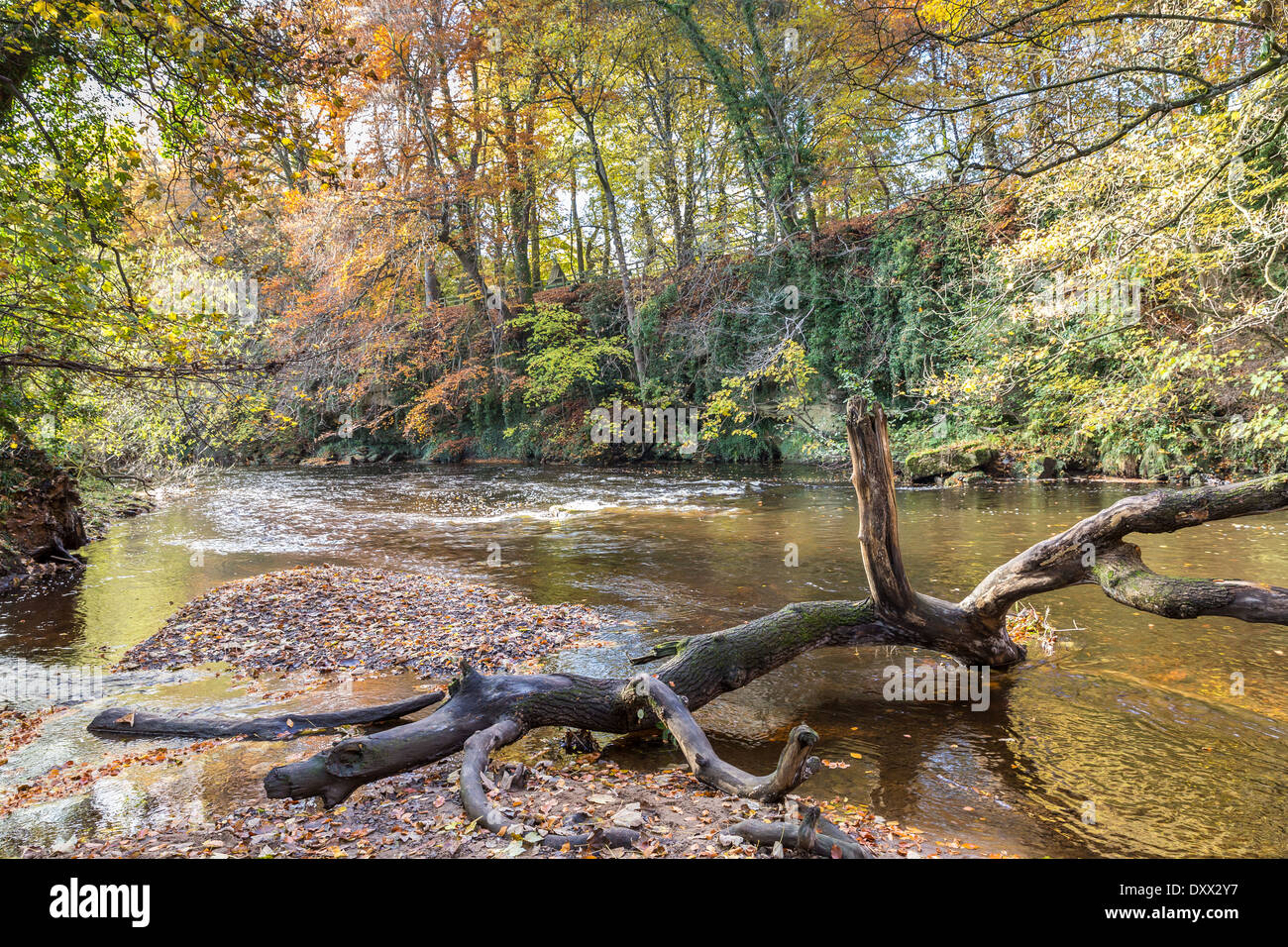Autumn river scene Stock Photo - Alamy