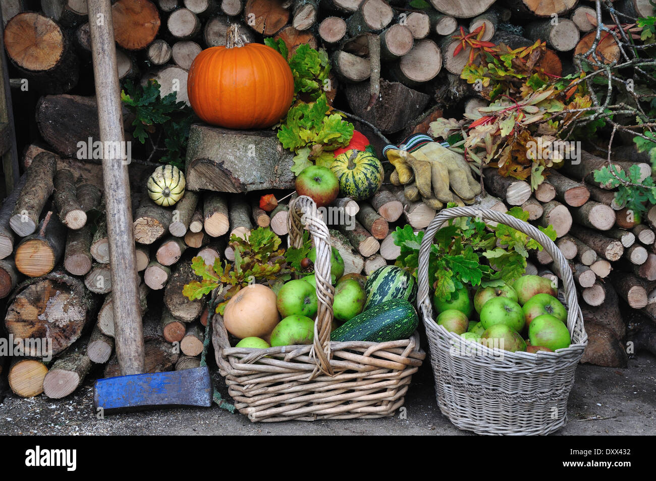Harvest fruit vegetables hi-res stock photography and images - Alamy