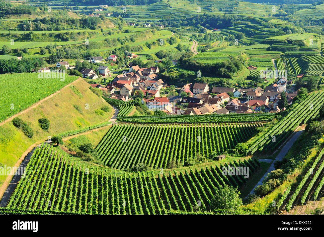 View of the vineyards and Oberbergen, Vogtsburg, Kaiserstuhl range ...