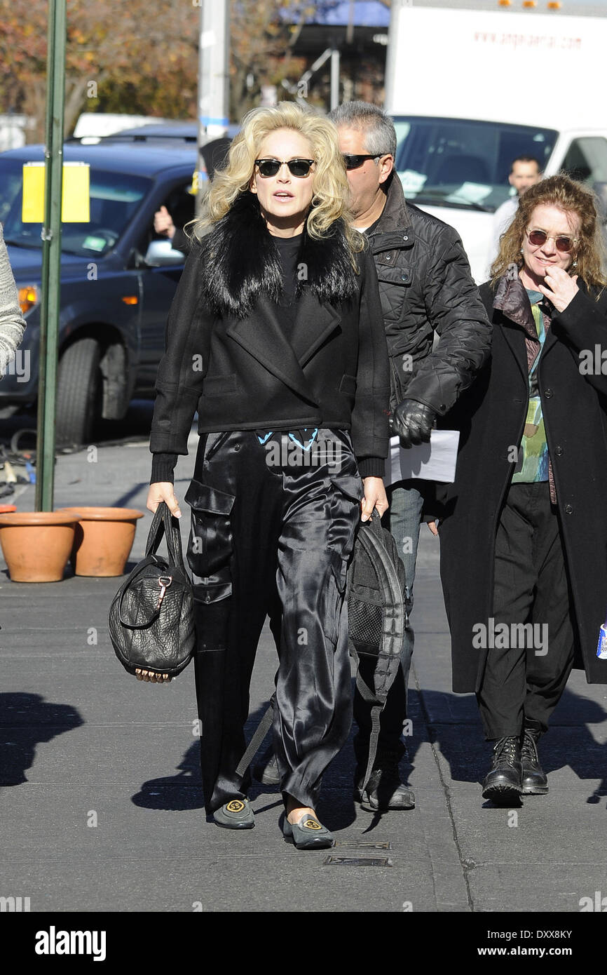 Sharon Stone is seen on the set of 'Fading Gigolo' in Manhattan ...