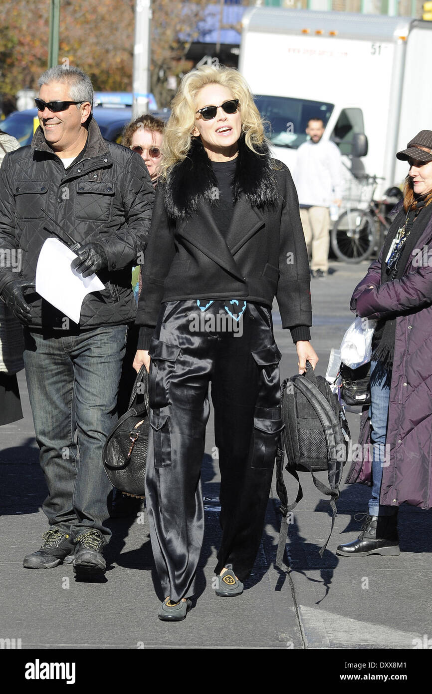 Sharon Stone is seen on the set of 'Fading Gigolo' in Manhattan ...