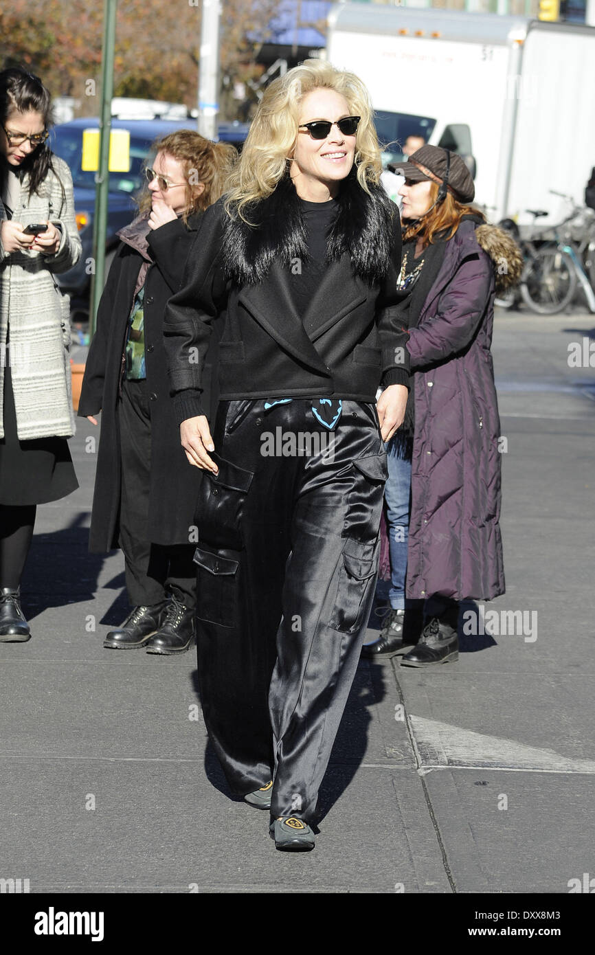 Sharon Stone is seen on the set of 'Fading Gigolo' in Manhattan ...