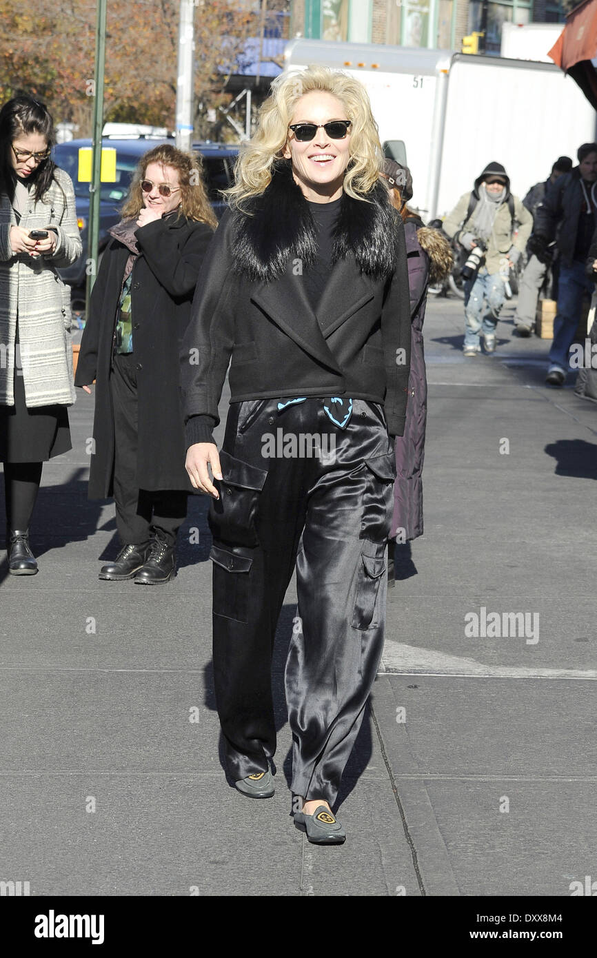 Sharon Stone is seen on the set of 'Fading Gigolo' in Manhattan ...