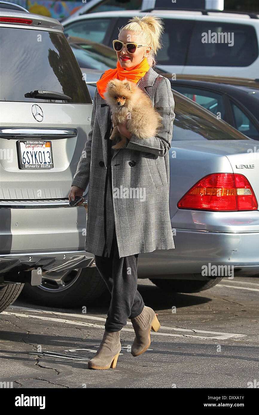 Gwen Stefani husband Gavin Rossdale and the family dog are seen after ...
