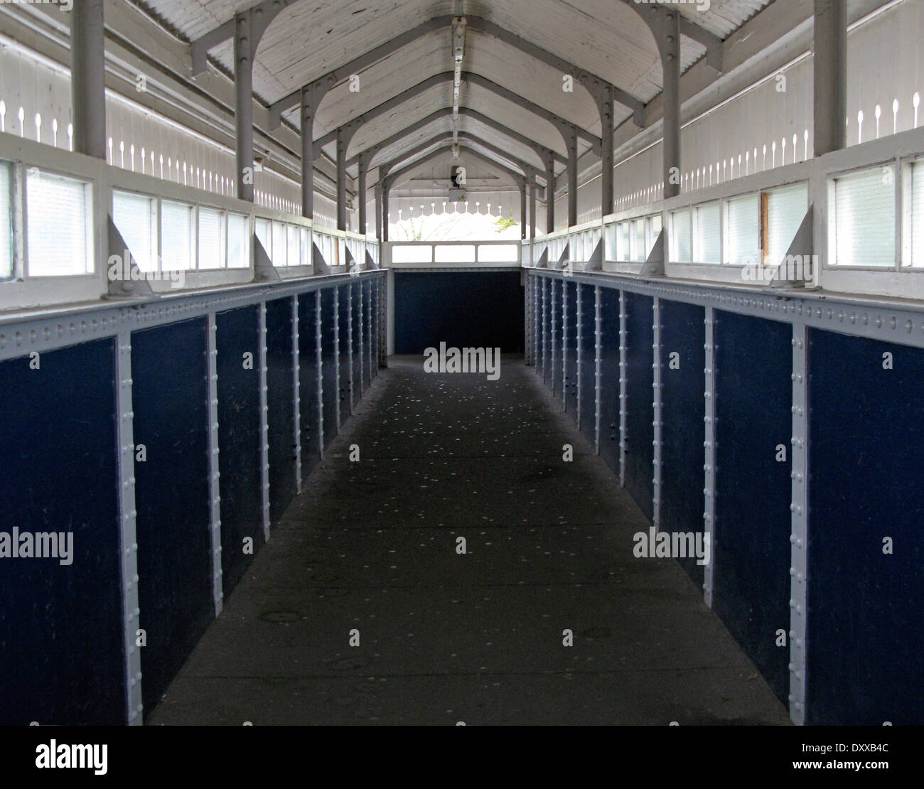 Pedestrian railway bridge, UK Stock Photo - Alamy