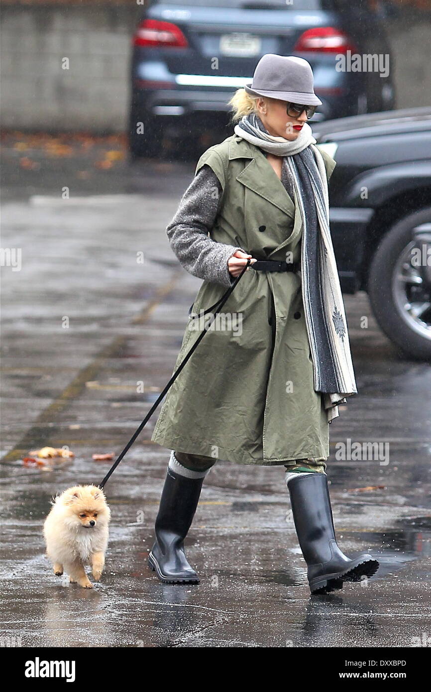 Gwen Stefani walks her new puppy as she takes her son to school on a ...