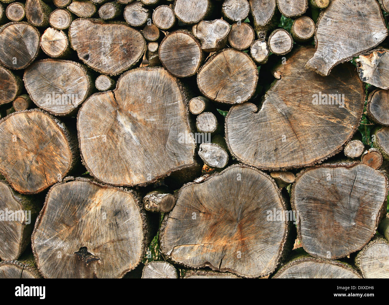 Logs piled high for storage Stock Photo - Alamy