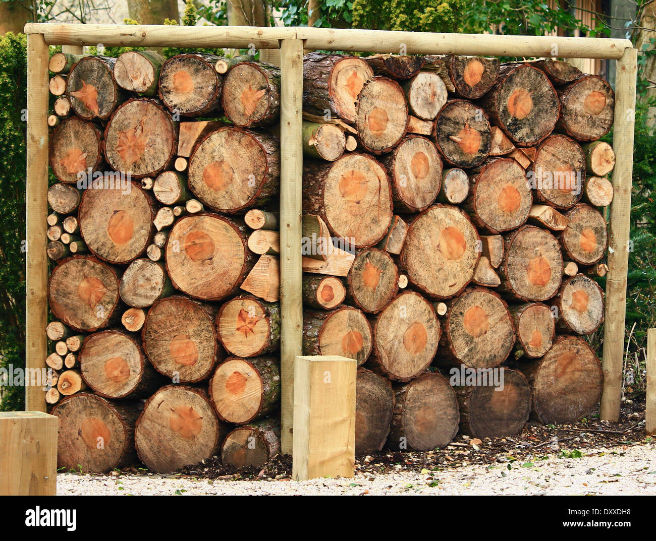 Logs piled high hi-res stock photography and images - Alamy