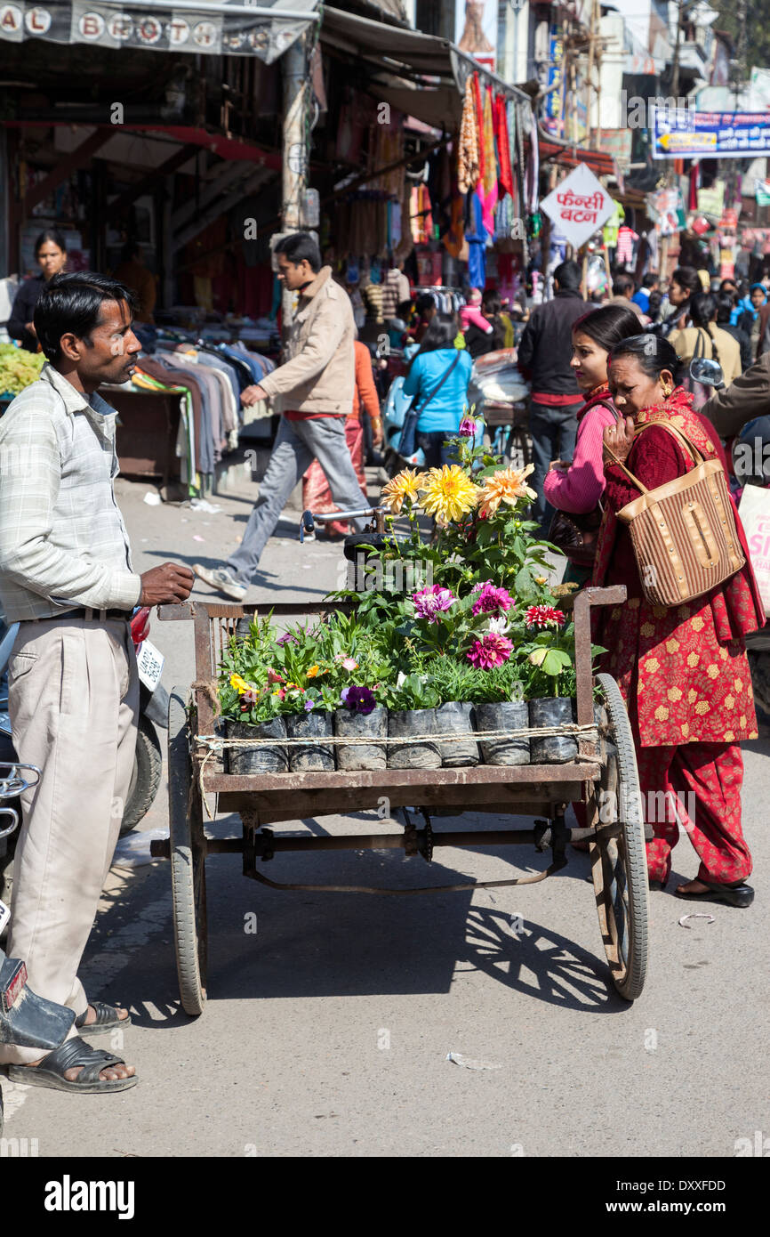 India salesman hi-res stock photography and images - Alamy