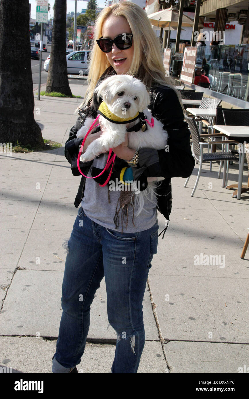 Glee' star Becca Tobin carries her injured dog as she exits Aroma cafe ...
