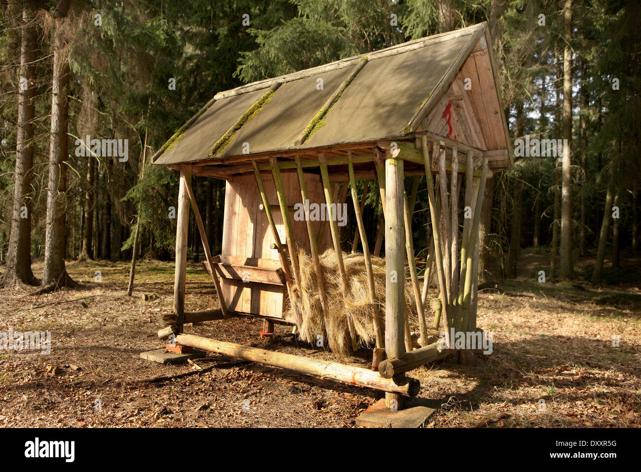 hay rack, forest, wood Stock Photo - Alamy