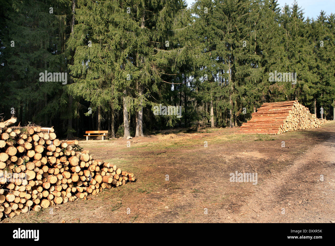 Sawlogs hi-res stock photography and images - Alamy