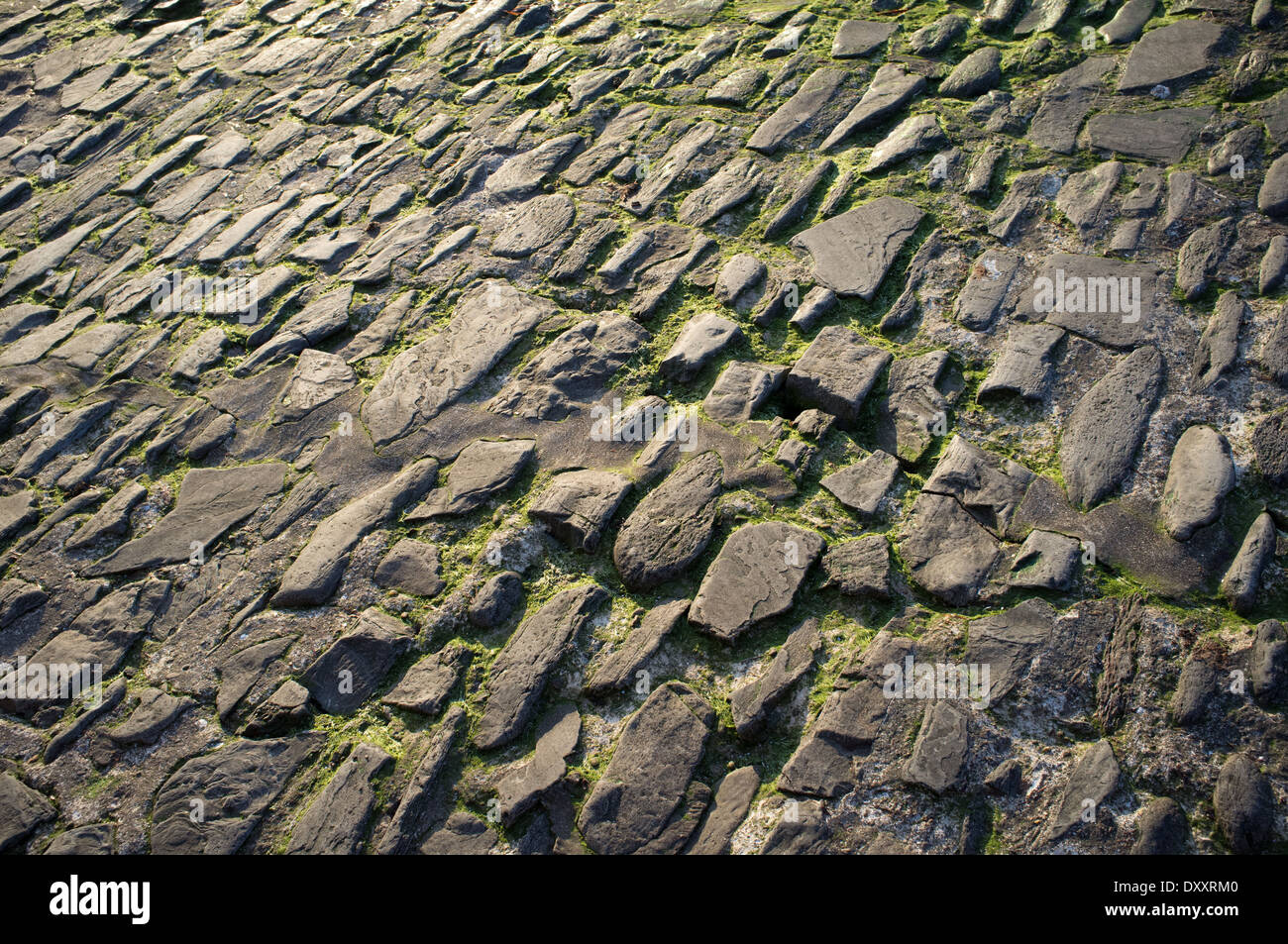 Stone cobbles hi-res stock photography and images - Alamy
