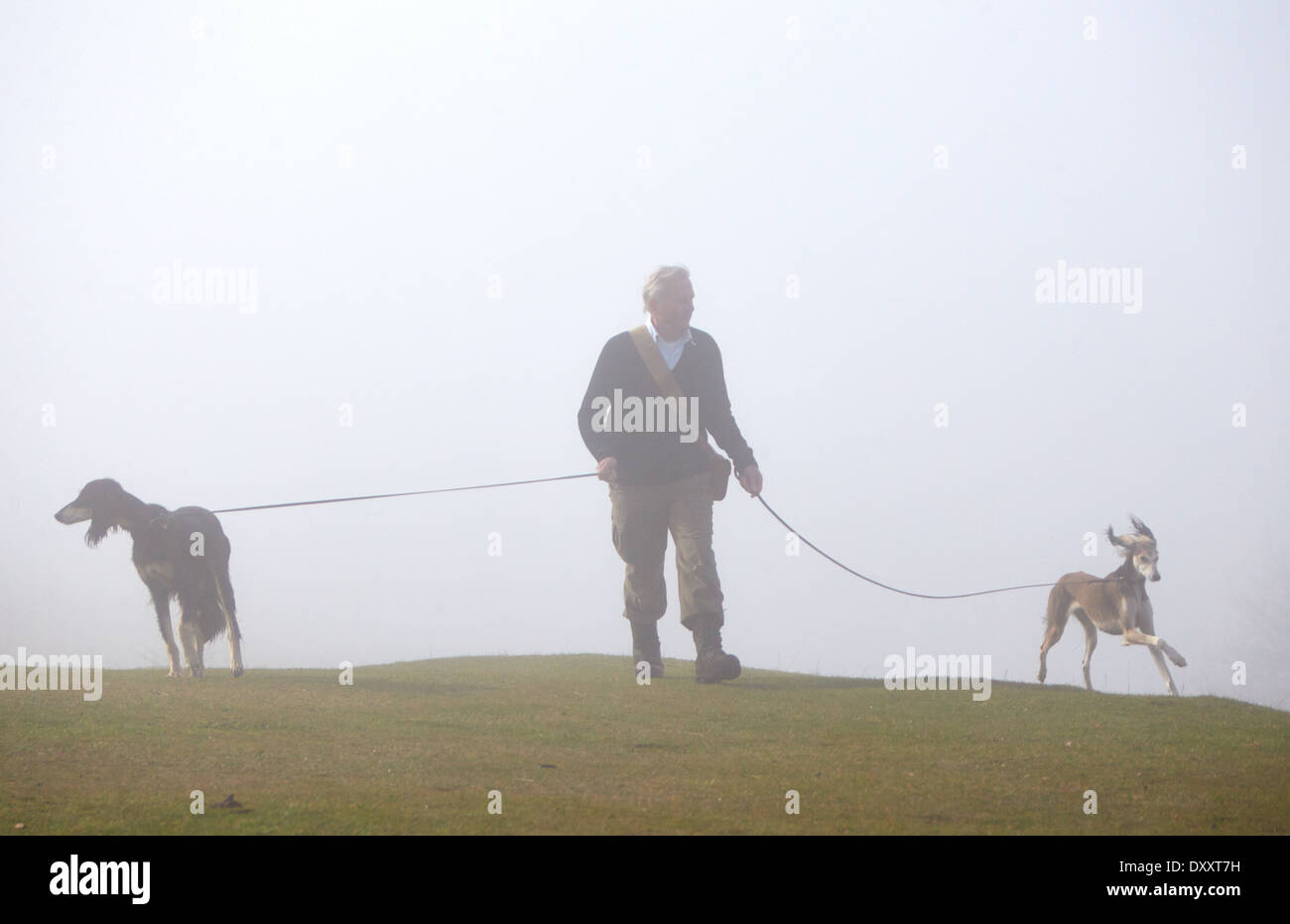 Walking two dogs hi-res stock photography and images - Alamy