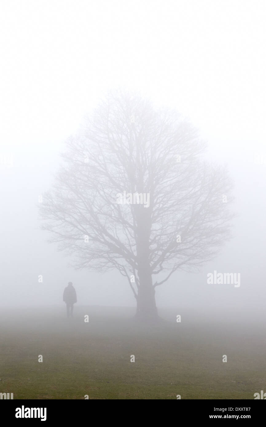 A man walking two dogs through heavy fog on Coombe Hill, near Wendover ...