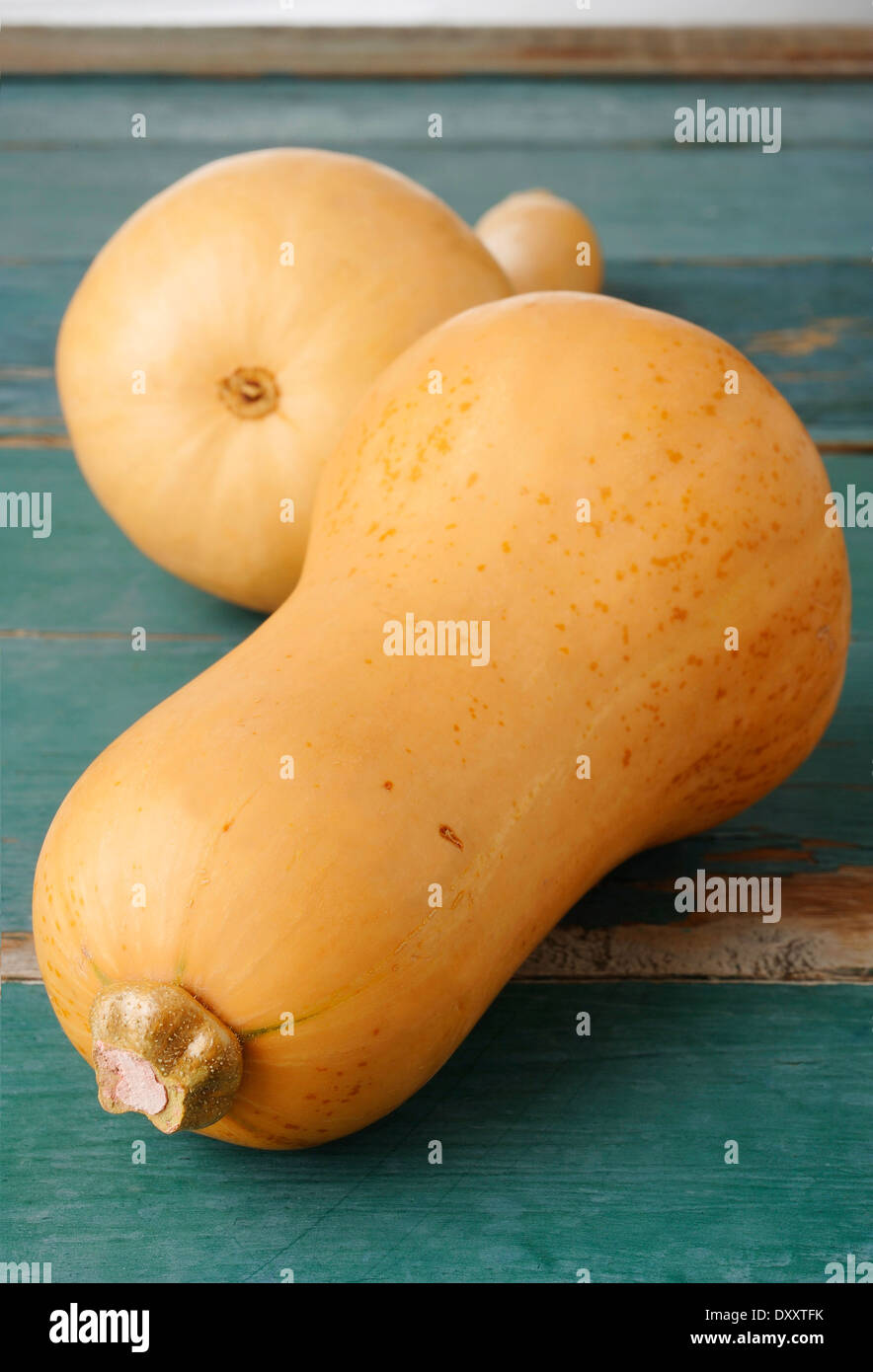 butternut squash on white background Stock Photo - Alamy