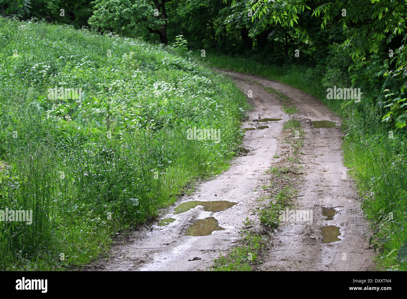 Countryside landscape with bad condition gravel road Stock Photo - Alamy