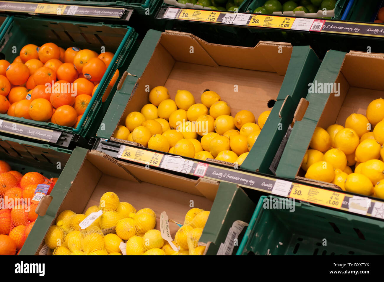 Fresh orange fruit supermarket hi-res stock photography and images - Alamy