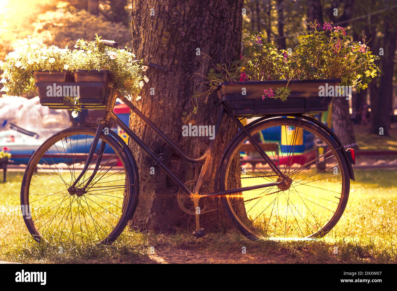 Colorful spring flowers in old hi-res stock photography and images - Alamy