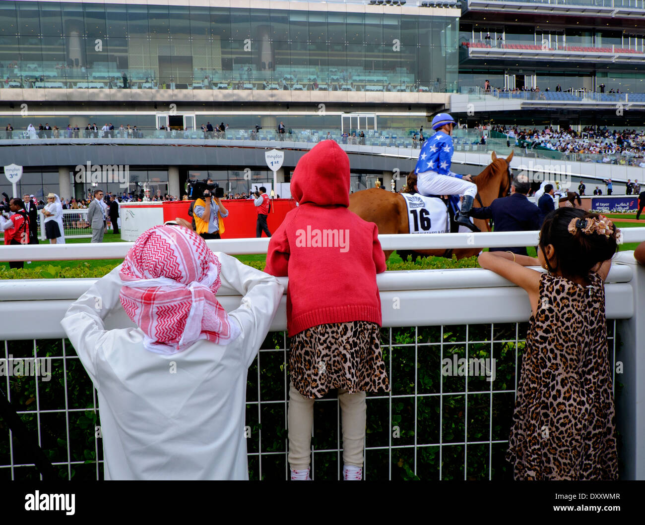 Horse parade ring hi-res stock photography and images - Alamy