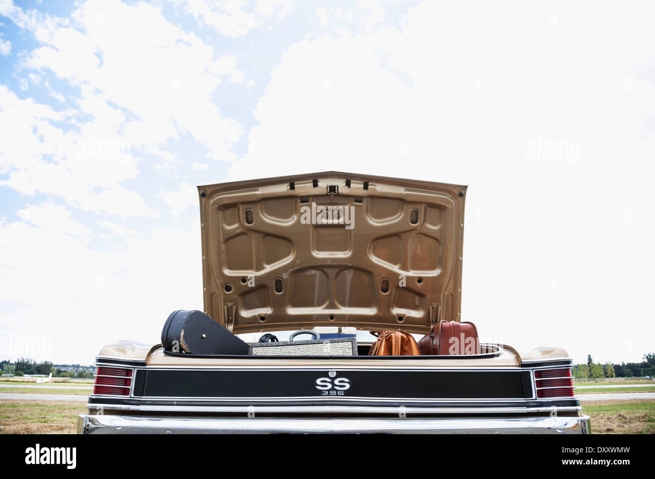 Leather Luggage Trunk High Resolution Stock Photography and Images - Alamy