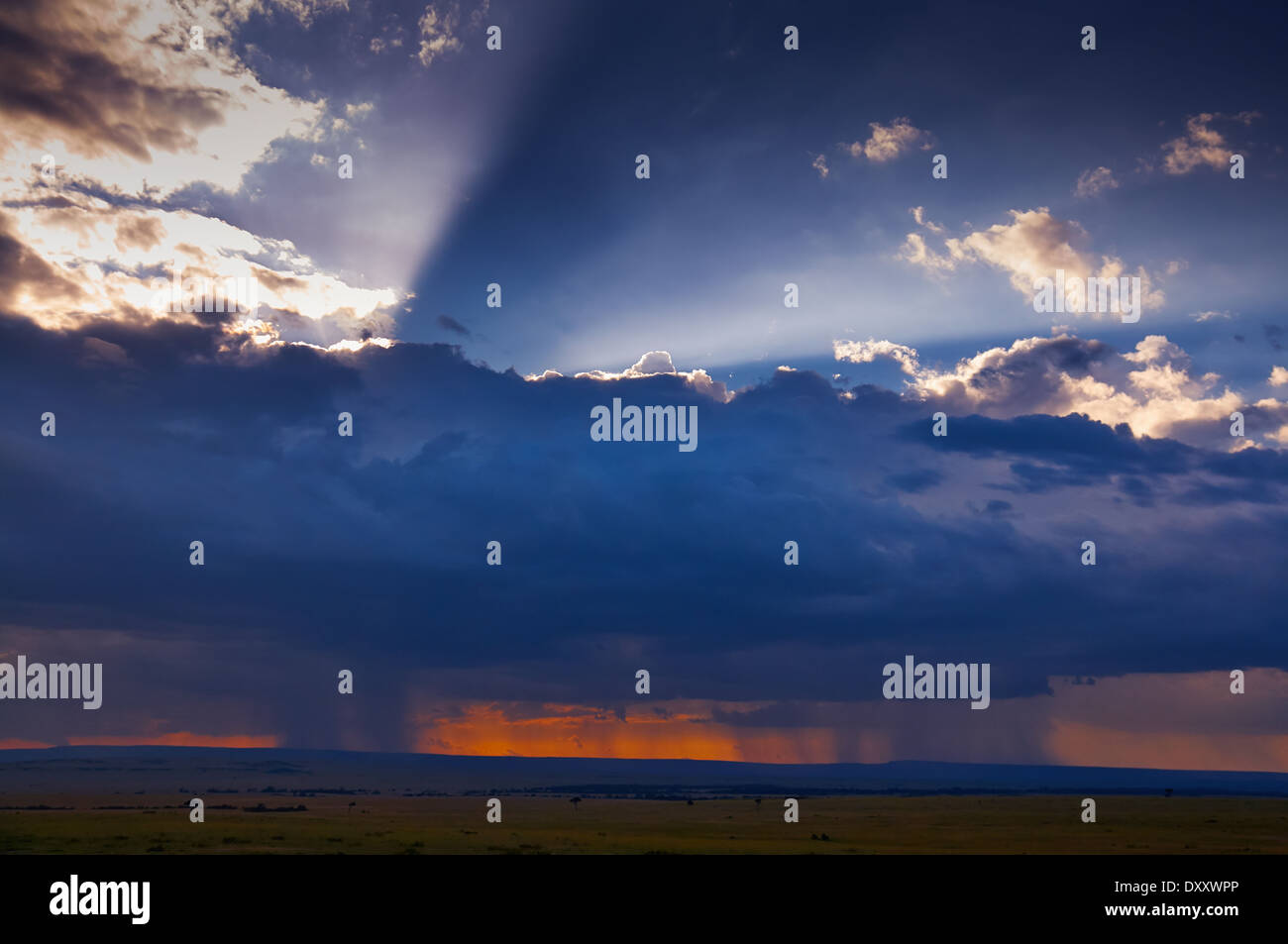 Sunset with storm in Kenya Stock Photo - Alamy
