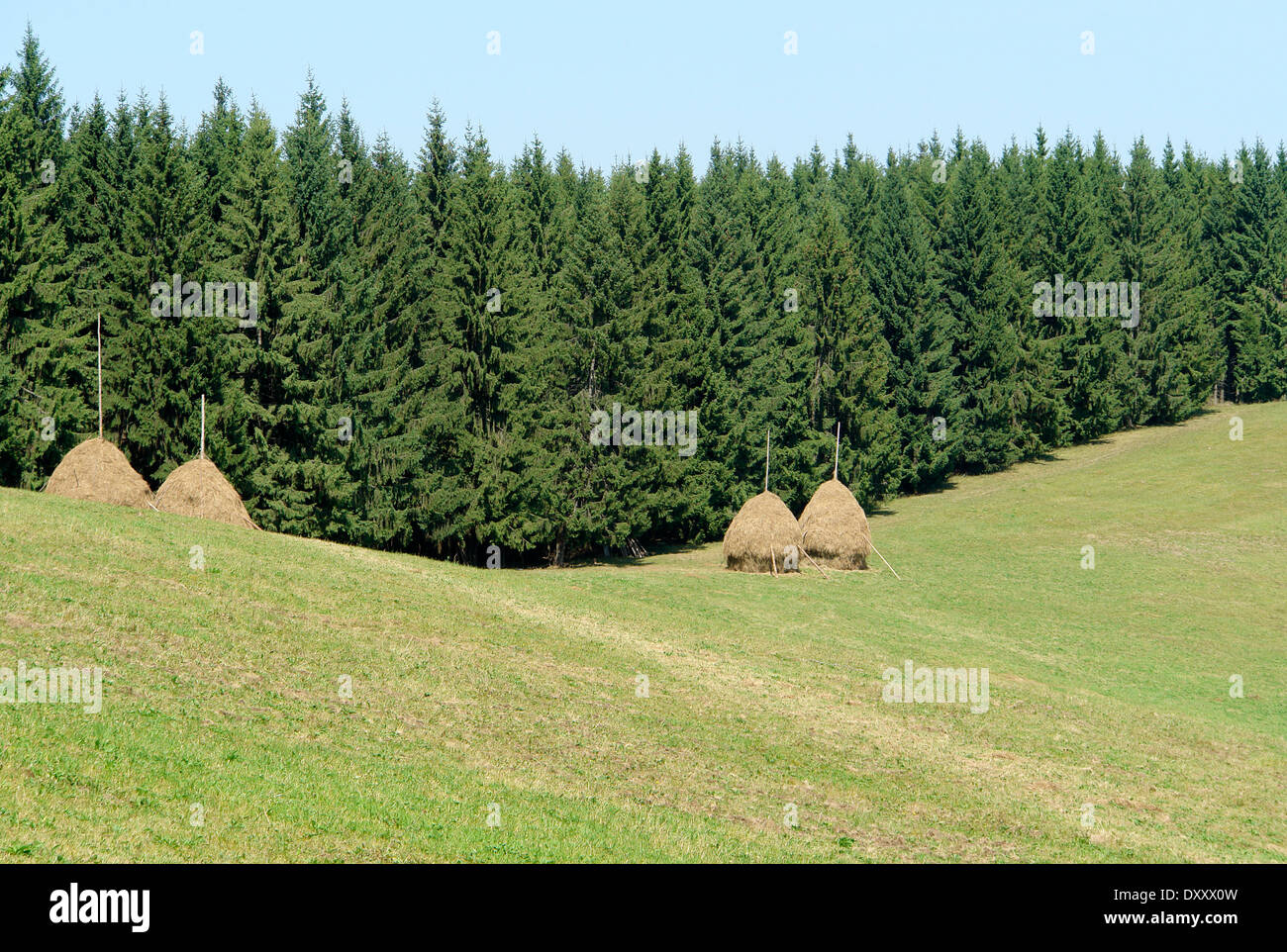 idyllic rural scenery in Moldavia, an area in Romania Stock Photo - Alamy