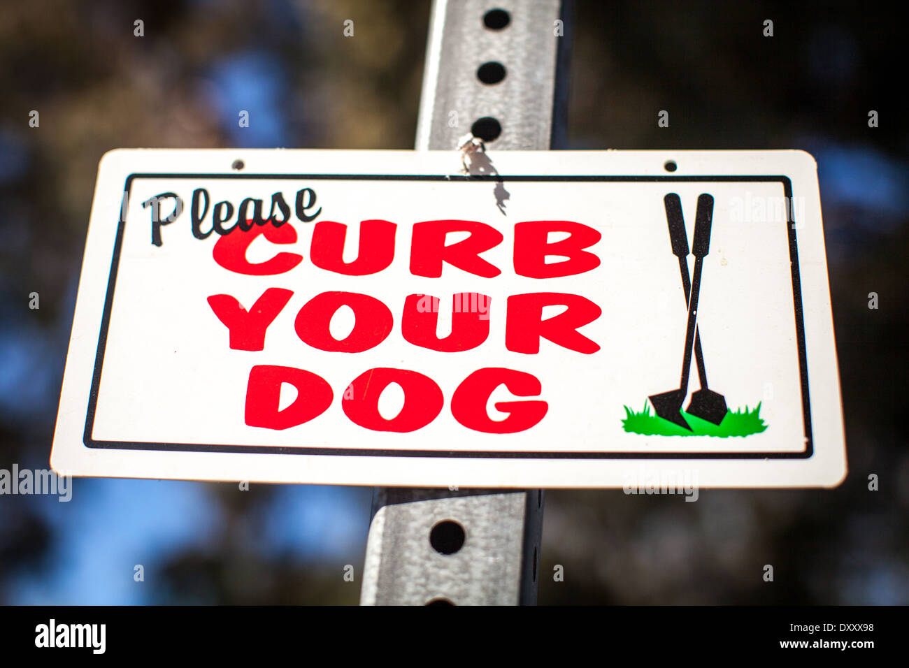 Curb Your Dog sign Stock Photo - Alamy
