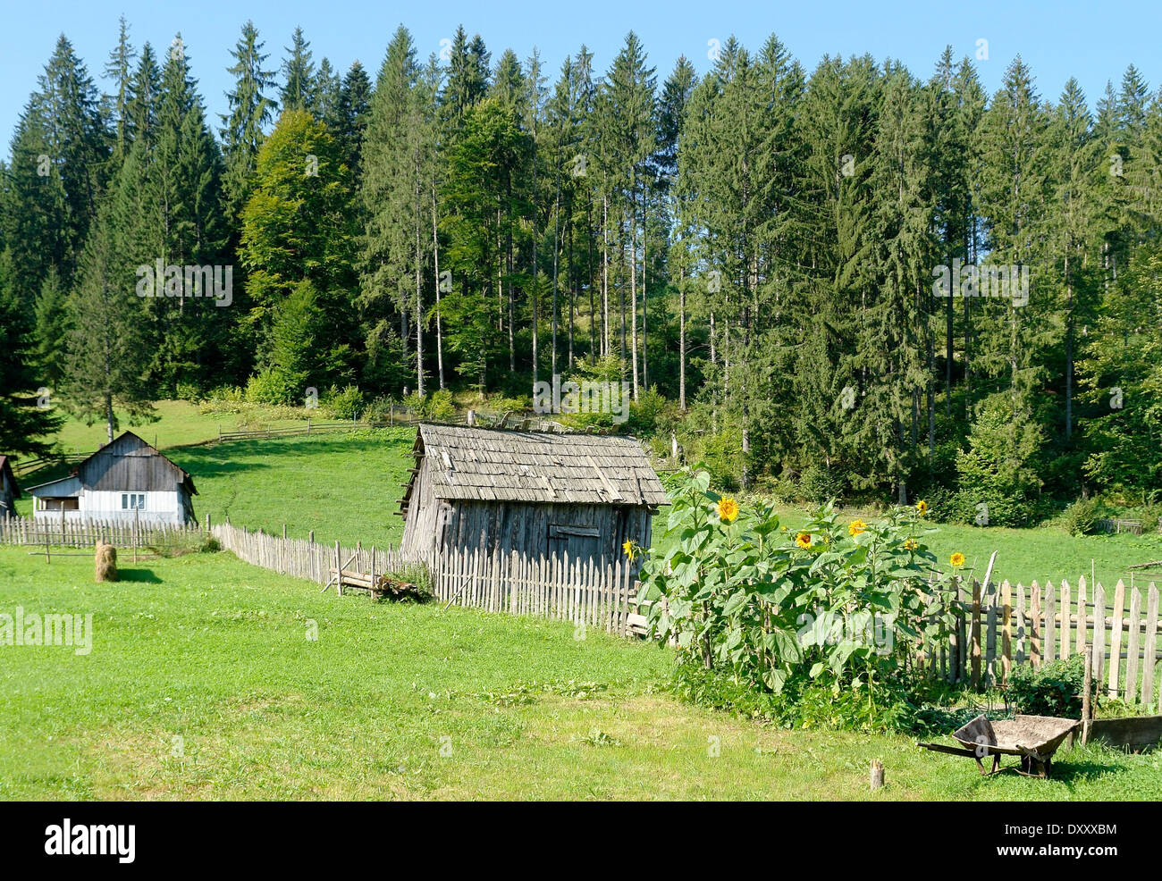 idyllic rural scenery in Moldavia, an area in Romania Stock Photo - Alamy