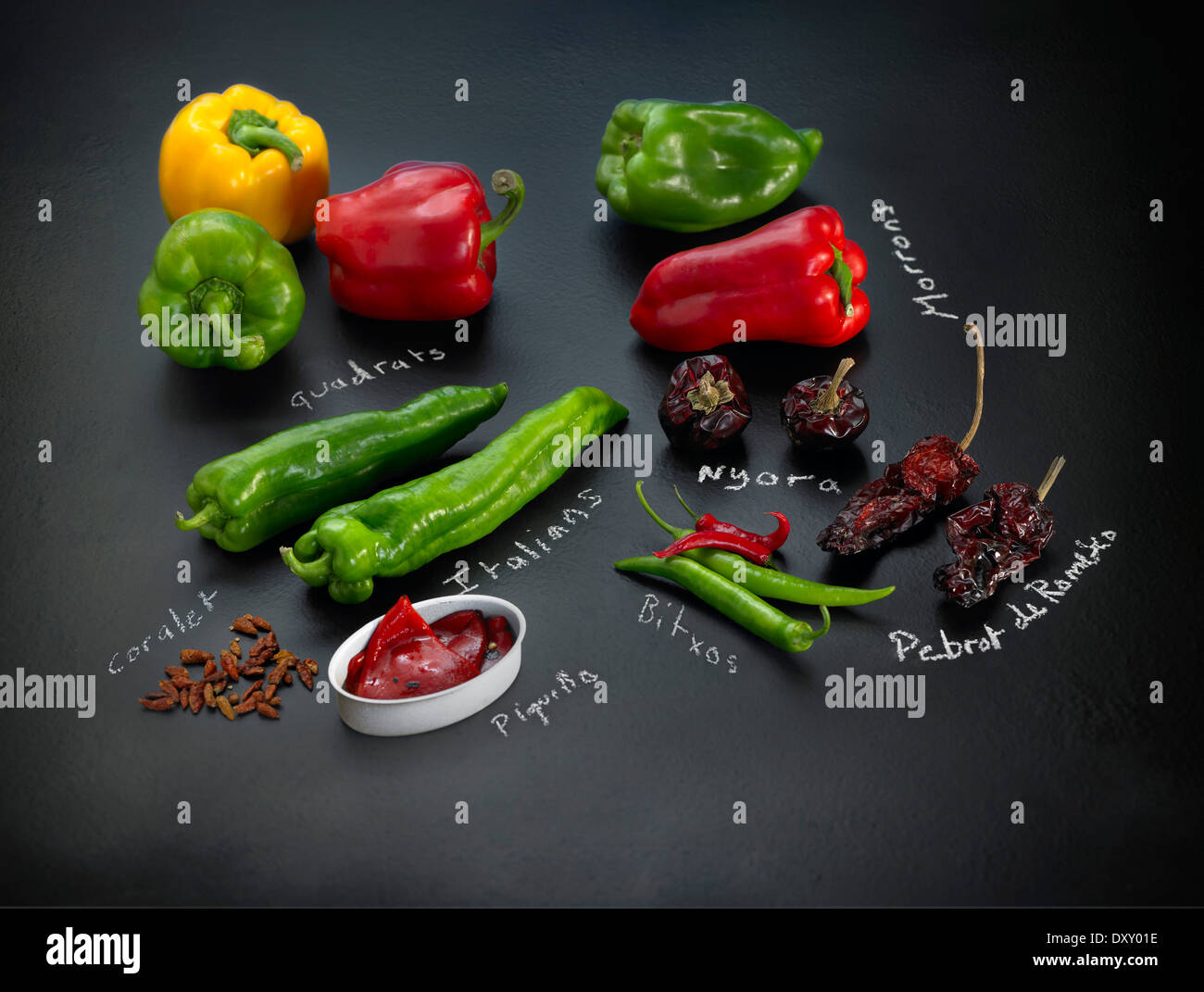 Cascabel hi-res stock photography and images - Alamy