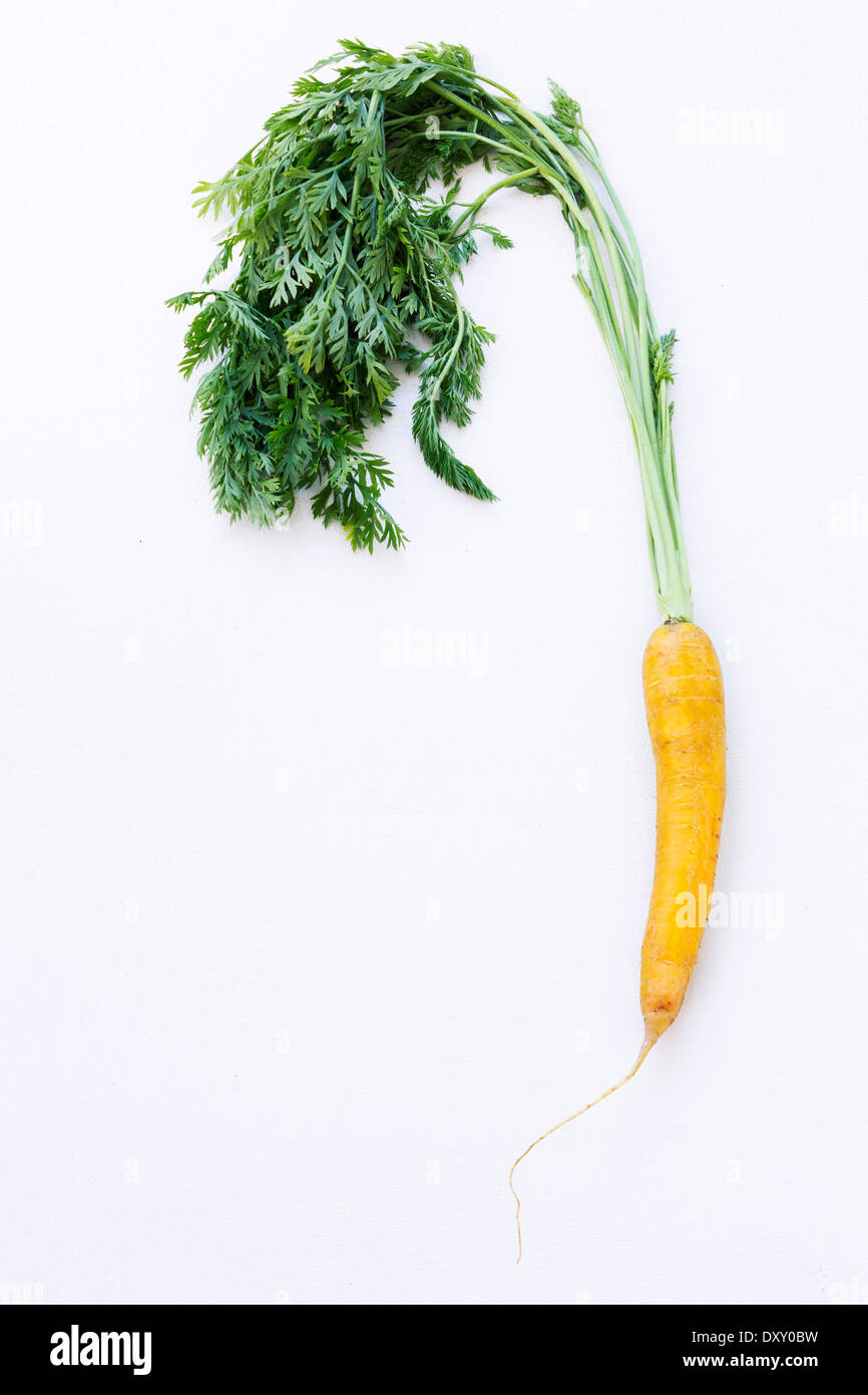 Yellow carrot hi-res stock photography and images - Alamy