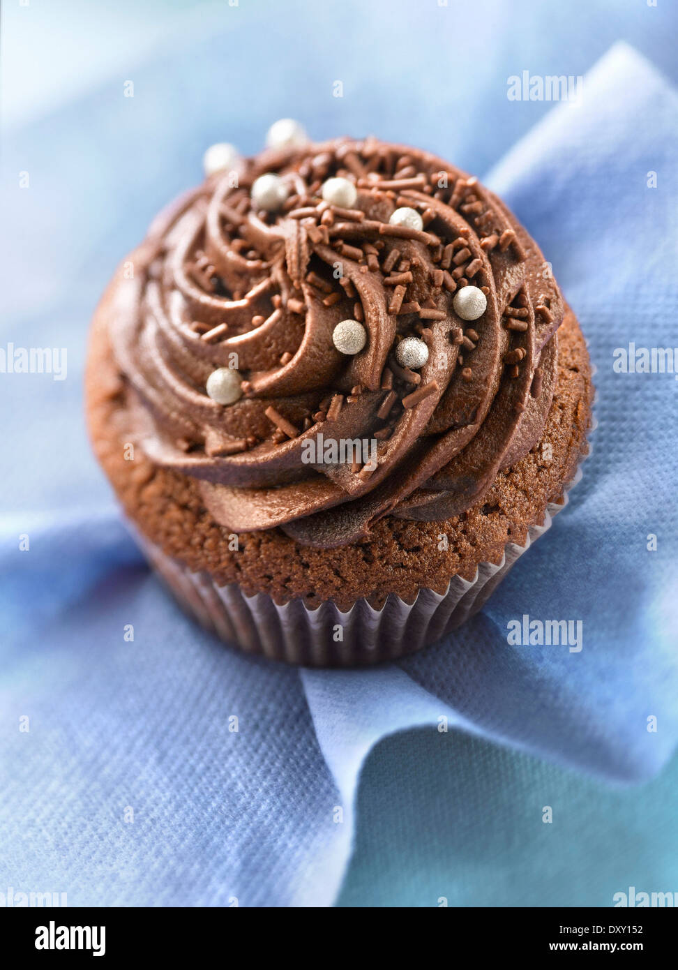 Dark chocolate cupcake Stock Photo - Alamy