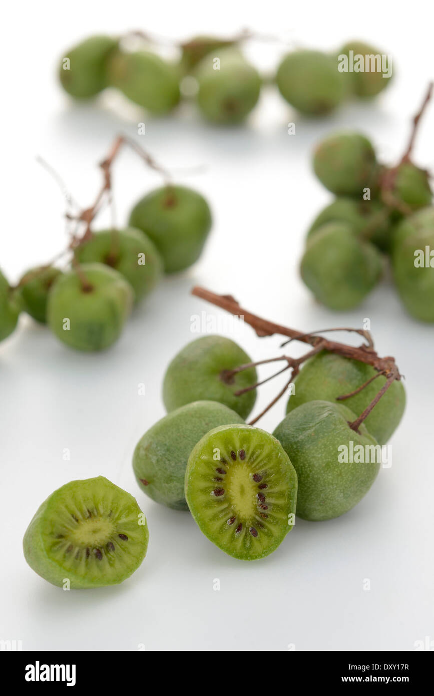 Kiwaî, kiwis from Siberia Stock Photo - Alamy