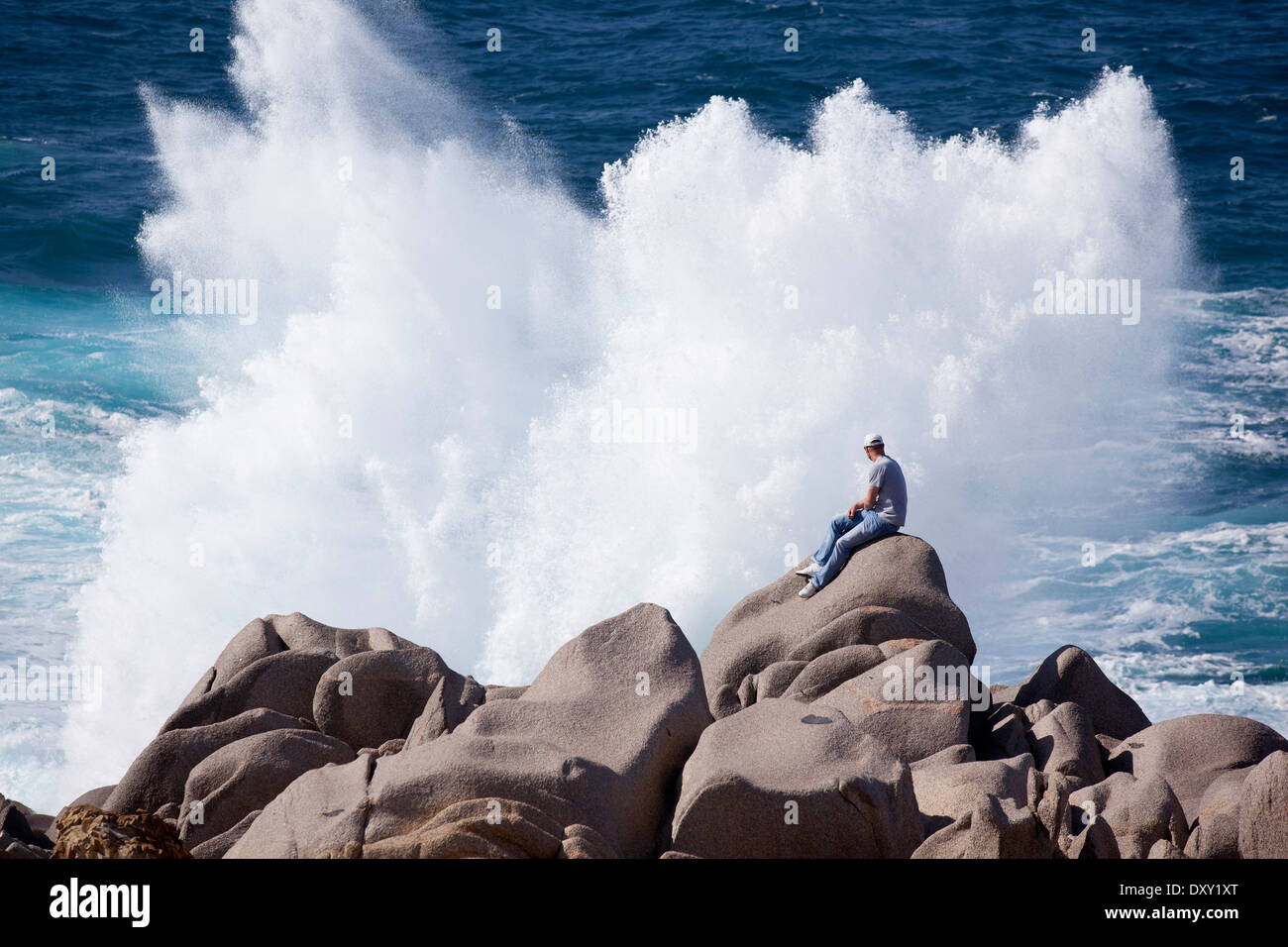 Mr testa hi-res stock photography and images - Alamy