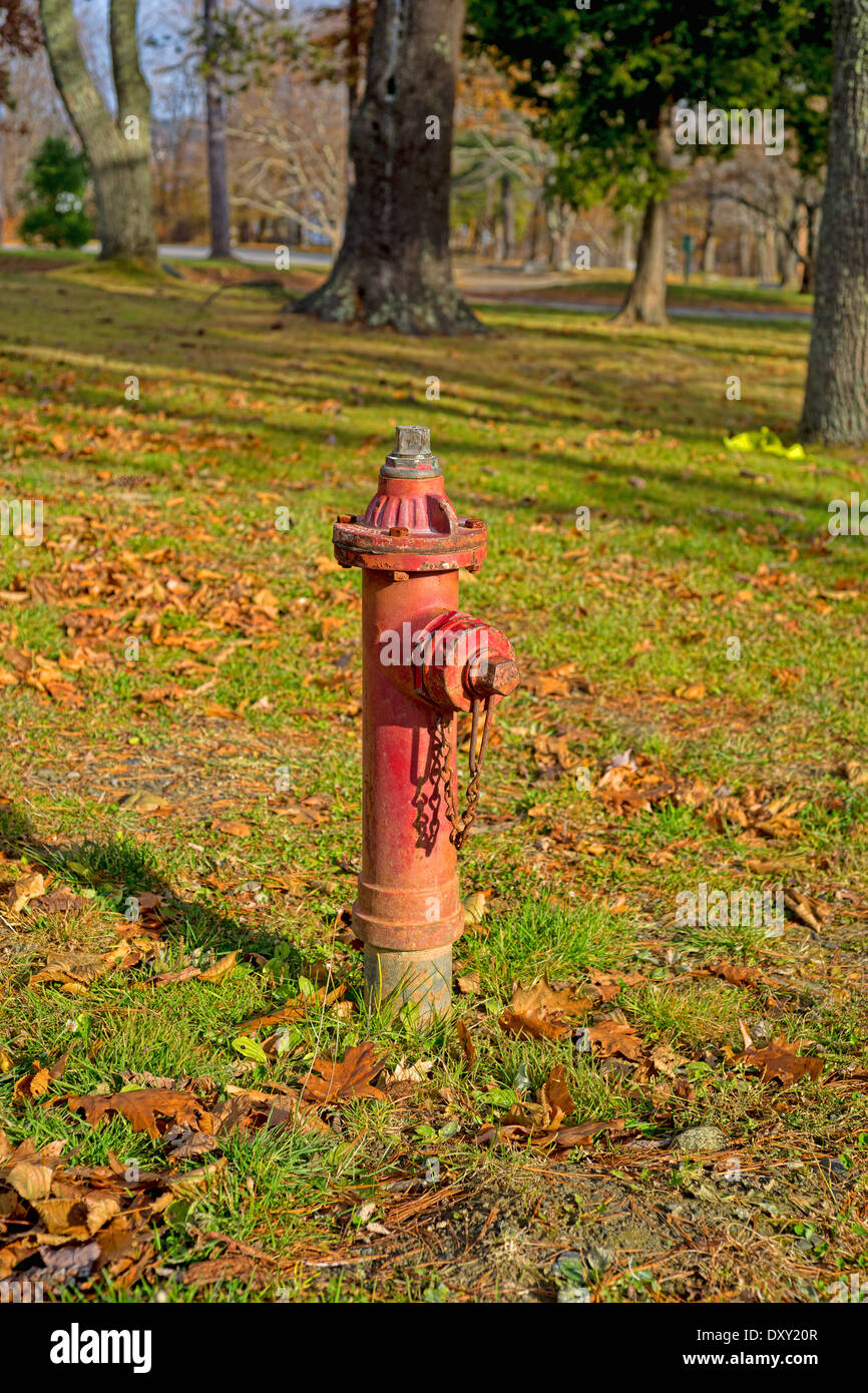 A very old fire hydrant surrounded by fall leaves in a park setting ...